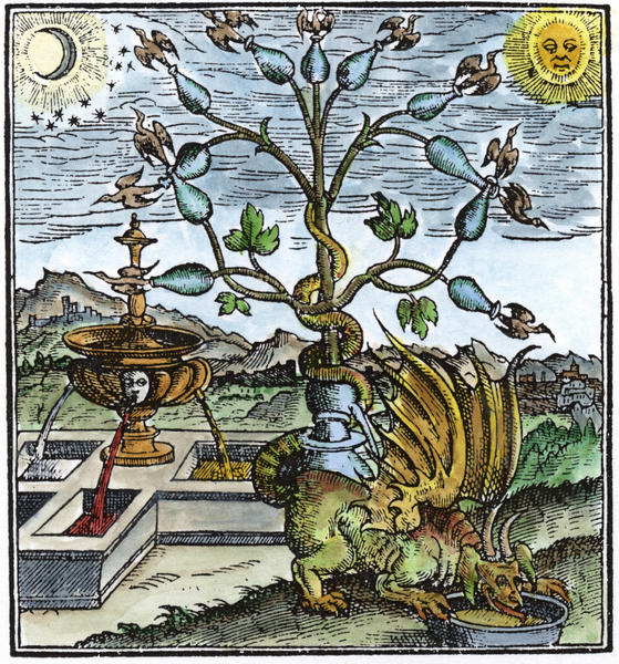 alquimia emblemas | Fraternidad Rosa Cruz de Colombia Gran Logia Raghozini